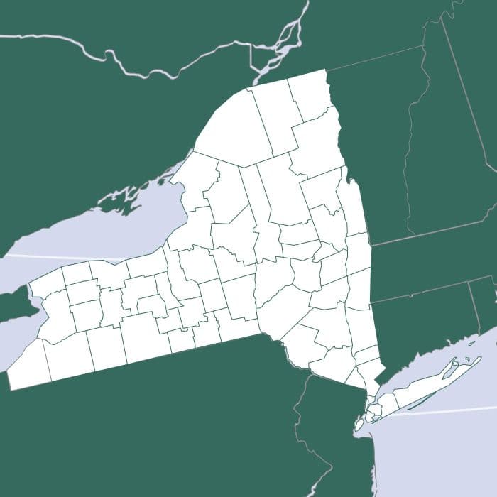 New York Cannabis Information Portal | NewYorkStateCannabis.org